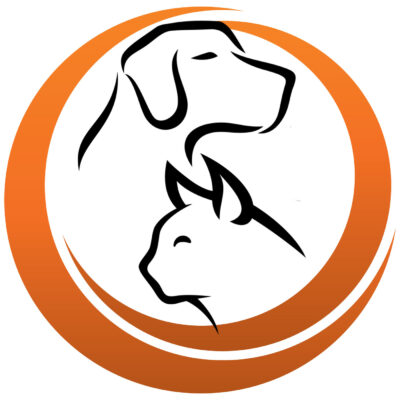 Home New - Vet X-ray