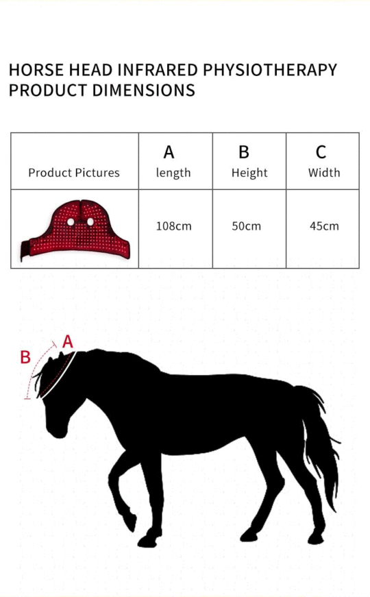 Equine Horse Led Red light Head Hat Wrap - Vet X-ray