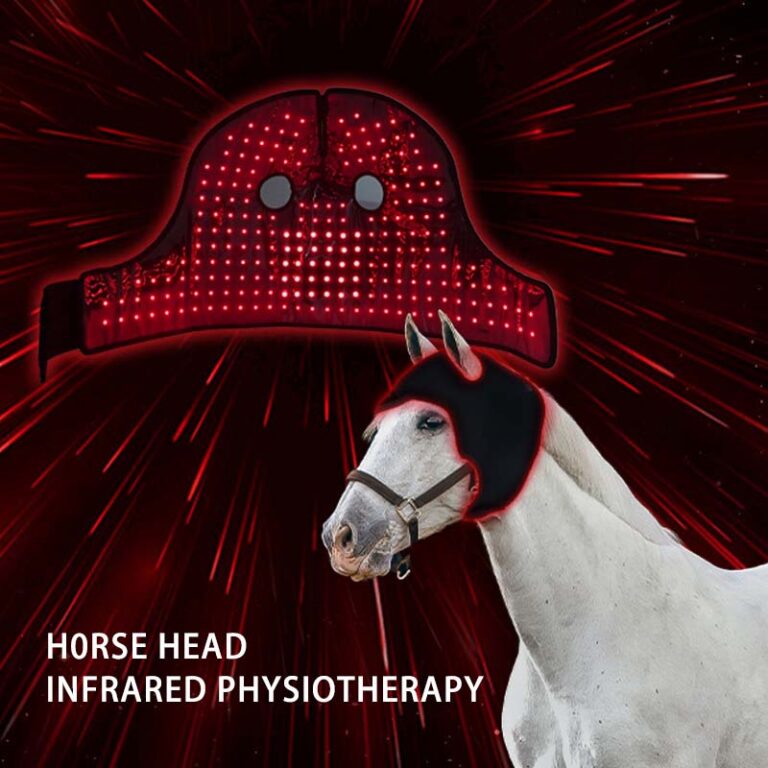 Equine Horse Led Red light Head Hat Wrap - Vet X-ray