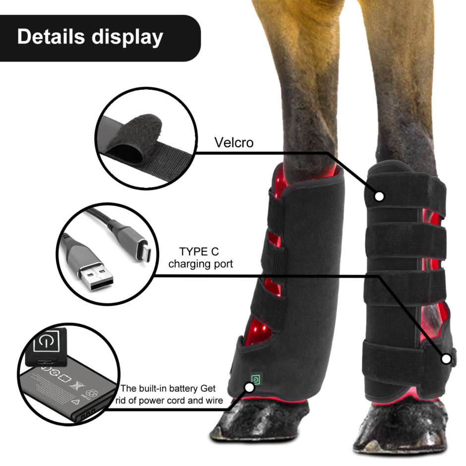 2 Piece Equine Red Light Therapy Horse Leg Wrap - Vet X-ray